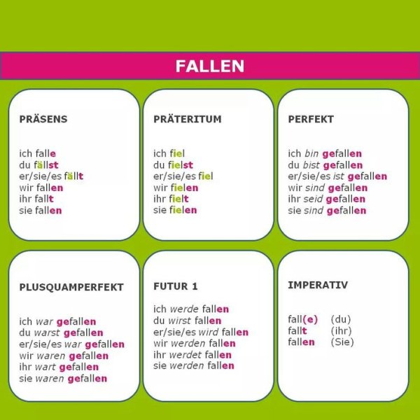 DEKLINATION - Deutsch - Viel Spass