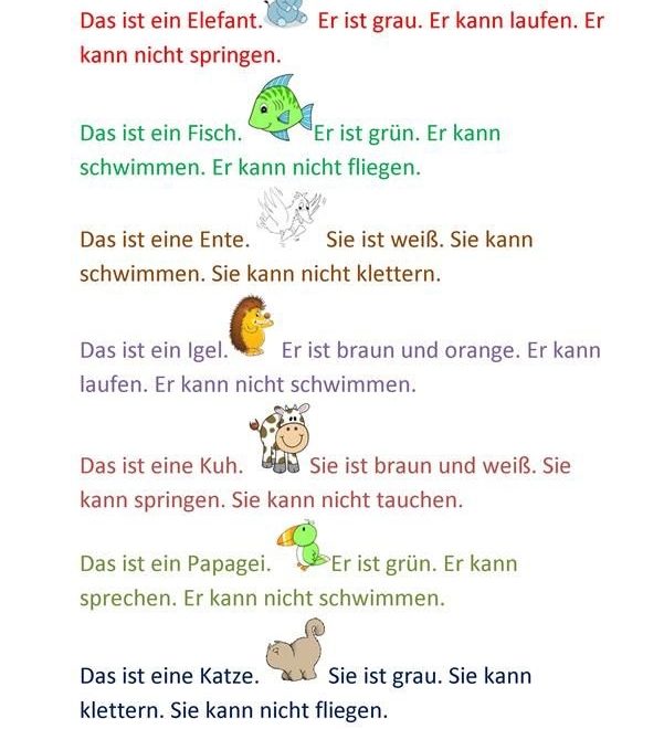 Das ist ein/-e ... - Deutsch - Viel Spass
