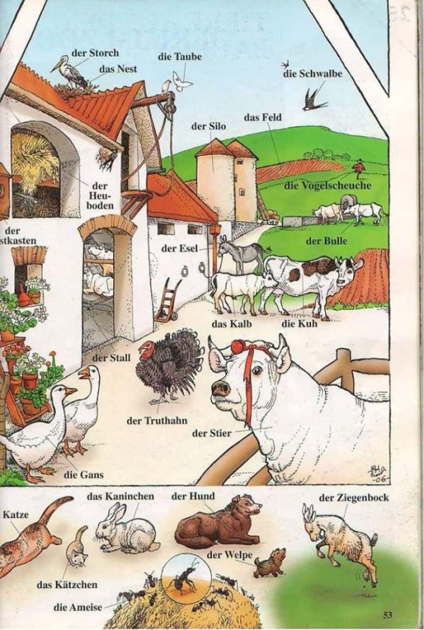 BITTE UND DANKE - Deutsch - Viel Spass