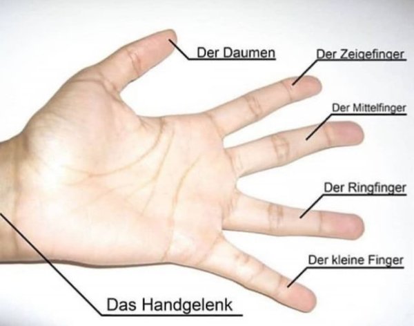 die Hand - Deutsch - Viel Spass