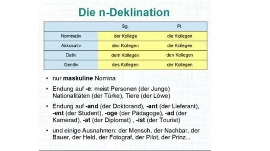 Die n-Deklination - Deutsch - Viel Spass